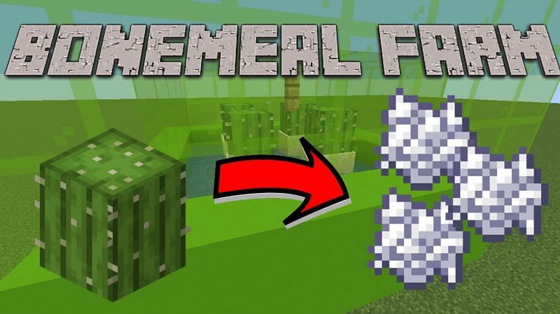 How To Get Bone Meal In Minecraft