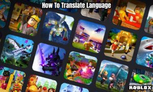 How To Translate Language In Roblox