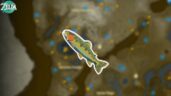 Where To Find Voltfin Trout In Breath Of The Wild